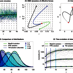 Numerical example of the island model.