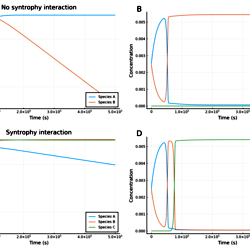 Syntrophy leads to favouring more efficient species.