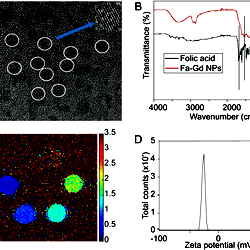 NP structure and properties.