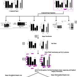 An example process for predicting violations of the proportional ink ...