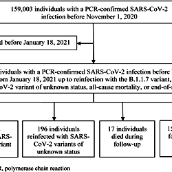 Flow chart of SARS-CoV-2 reinfections with B.1.1.7 and variants of ...