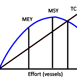 Gordon-Schaefer model.
