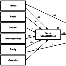 Final path model with standardised parameter estimates Kessler ...