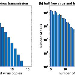 Histograms of the multiplicity of infection near peak infection.