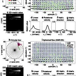 Modeling Boundary Vector Cell Firing Given Optic Flow as a Cue