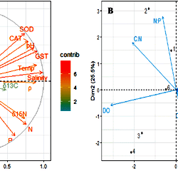 The (A) contribution plot and (B) biplot of principal component ...