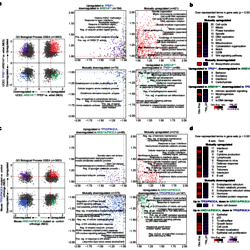 Extended GSEA results for disease and model genetic comparisons.