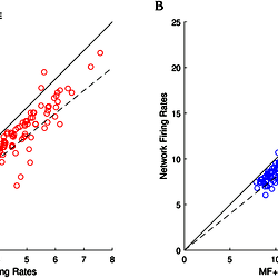 Comparison of firing rates computed using the MF+v algorithm to those ...