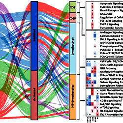 Common and unique pathways in lymphocytes & nasal epithelial cells of ...