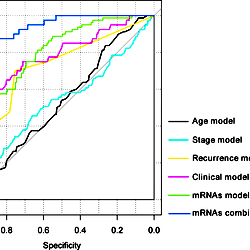 ROC curve comparison based on different models.