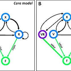 Model design—internal representation.