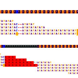 Examples of corresponding genotypes.