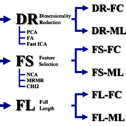 A tree diagram depicting the method combination used in this study.