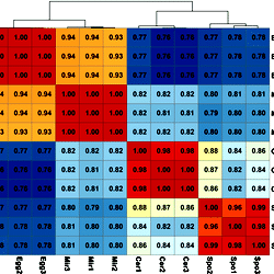 A heatmap showing Person’s correlation coefficient among different ...