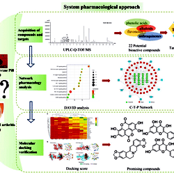 S1 Graphical abstract
