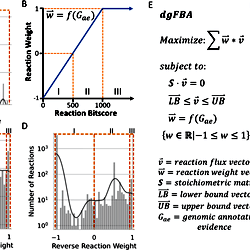 Data Guided Flux Balance Analysis.