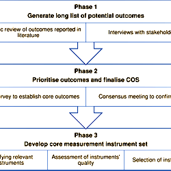 COS development structure.