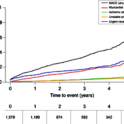 Probability of MACE over time during the follow-up period.