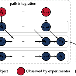 Graphical representation of the Path Integration model.