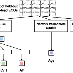 Flowchart comparing training models on PCLR and training models from ...