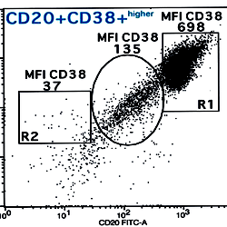 Flow cytometry analysis of CD38 expression of Case 1.