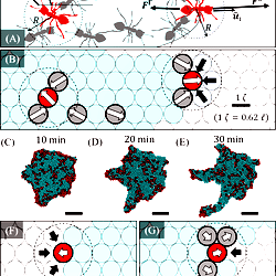 Agent-based Model Schematic.
