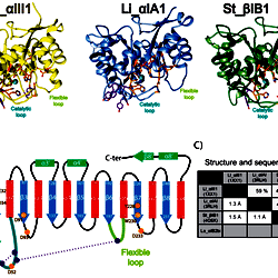 Overview of the SicTox PLD structures.