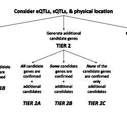 Tier assignment process.