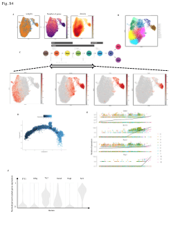 The overall workflow of preprocessing the scRNA-seq data.