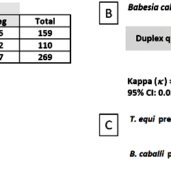 Kappa statistic calculations for the test results generated by the ...