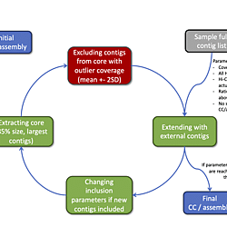 Detailed workflow of the iterative CC and Assembly extension step.