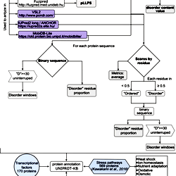Methodology scheme followed for sequence selection and disorder ...