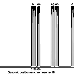 Visualization of the read depth distribution achieved by Nanopore ...