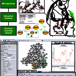 Example of parallel network and structure visualization using SenseNet.