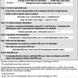 Scoring process of DII.