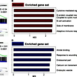 Estimate score C5 enrichment analysis results based on the ESTIMATE ...