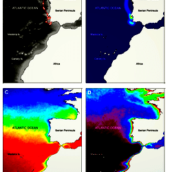 Spatial Dynamics and Expanded Vertical Niche of Blue Sharks in ...