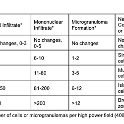 Scoring matrix with descriptions.