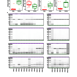 Validation of differential transcript expression.