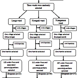 Flow chart of sampling technique.
