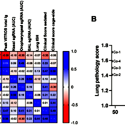 Multivariable correlation analysis.