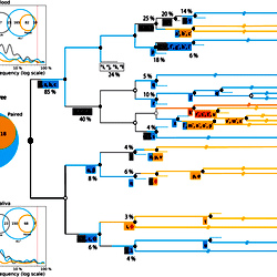 Calls from All2 enable reconstruction of high-resolution lineage tree.