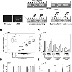 The icNT results correlate with the RFFIT.