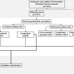 Overview of the study design.