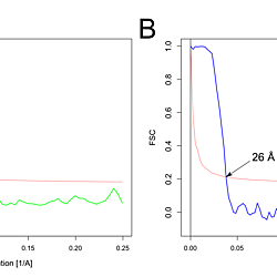 Fourier shell correlation profile of 3D density maps.