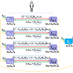 The full model of C. sinensis infection with interventions.