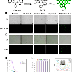 ROS levels of PLA-HA mediated aPDT.