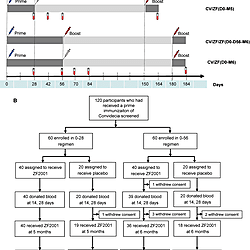Study design and trial profile.
