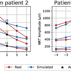 NRT prediction test.