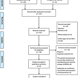 Flow diagram of literature search and study inclusion.